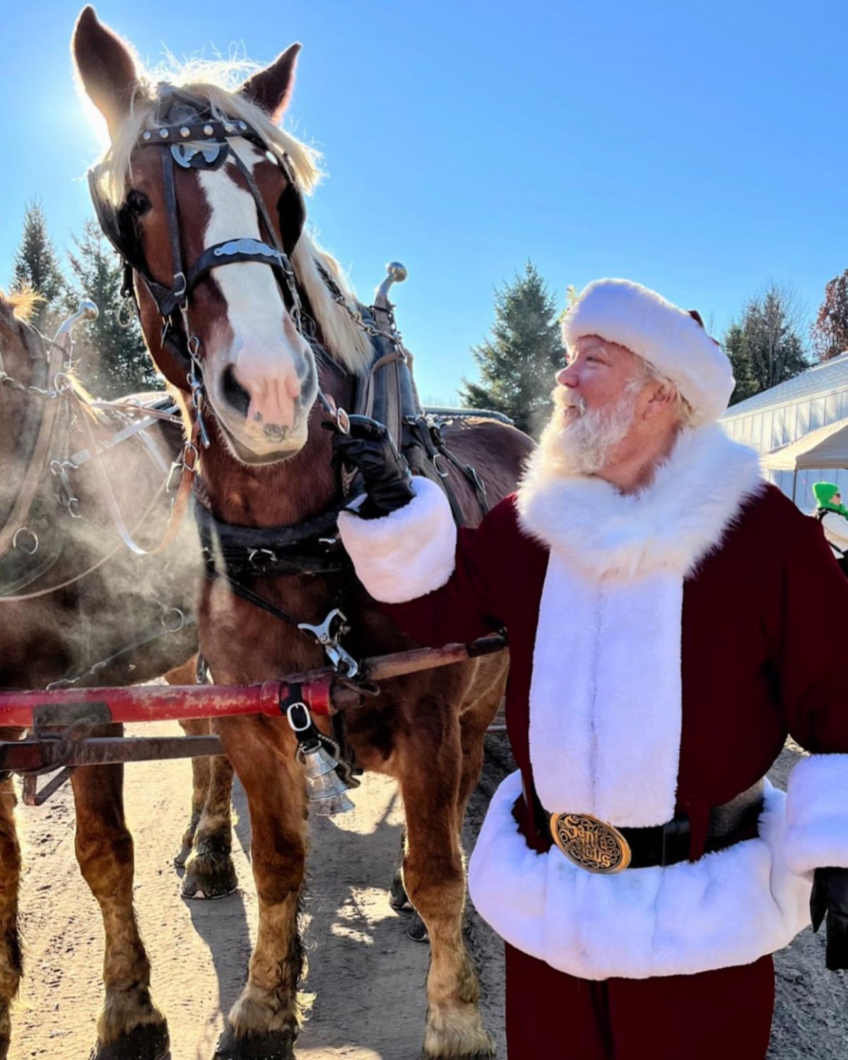 Christmas and Holiday Village - Recharge Community Respite